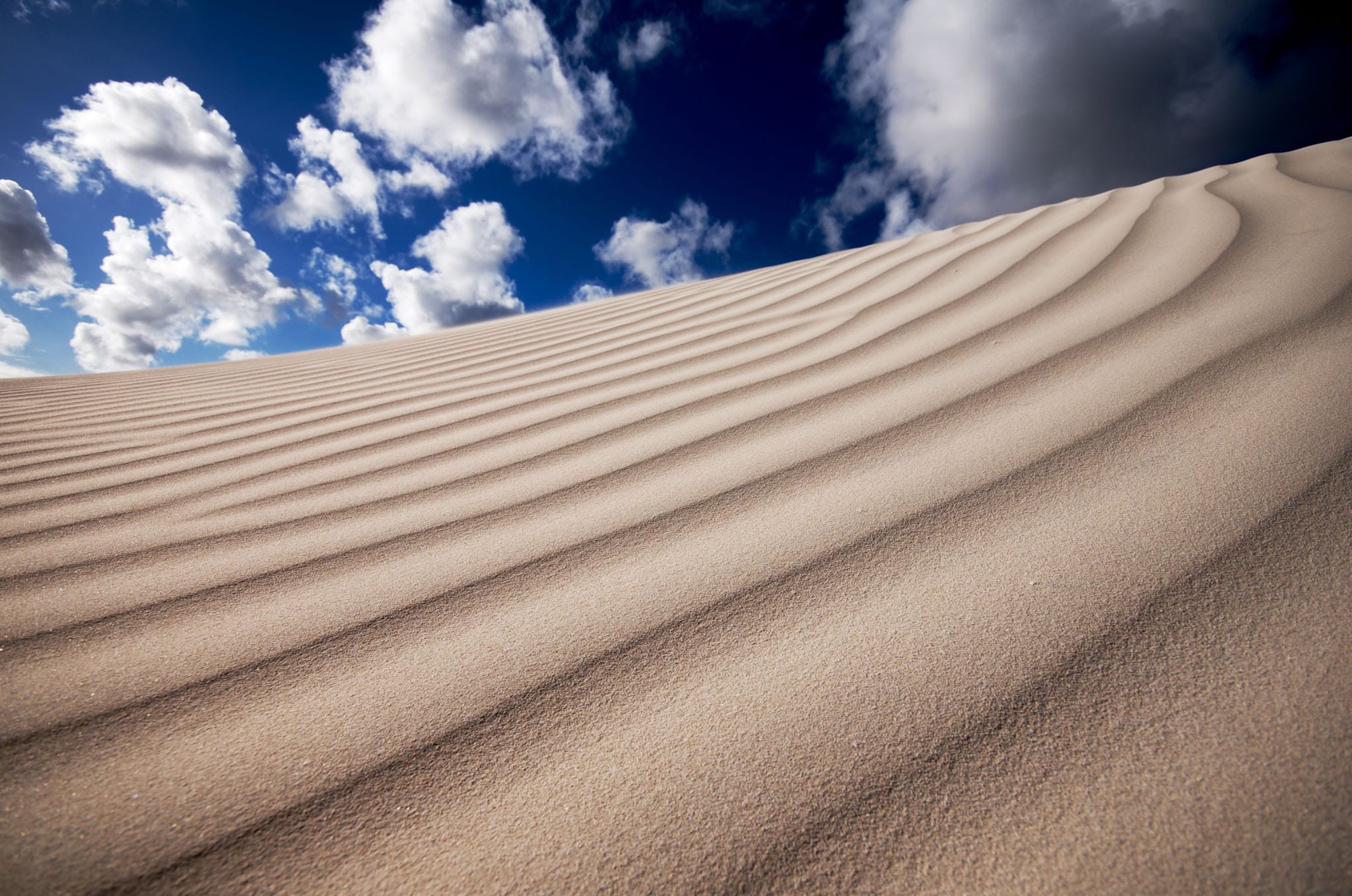 Fine Art Colour - Stephen Foote