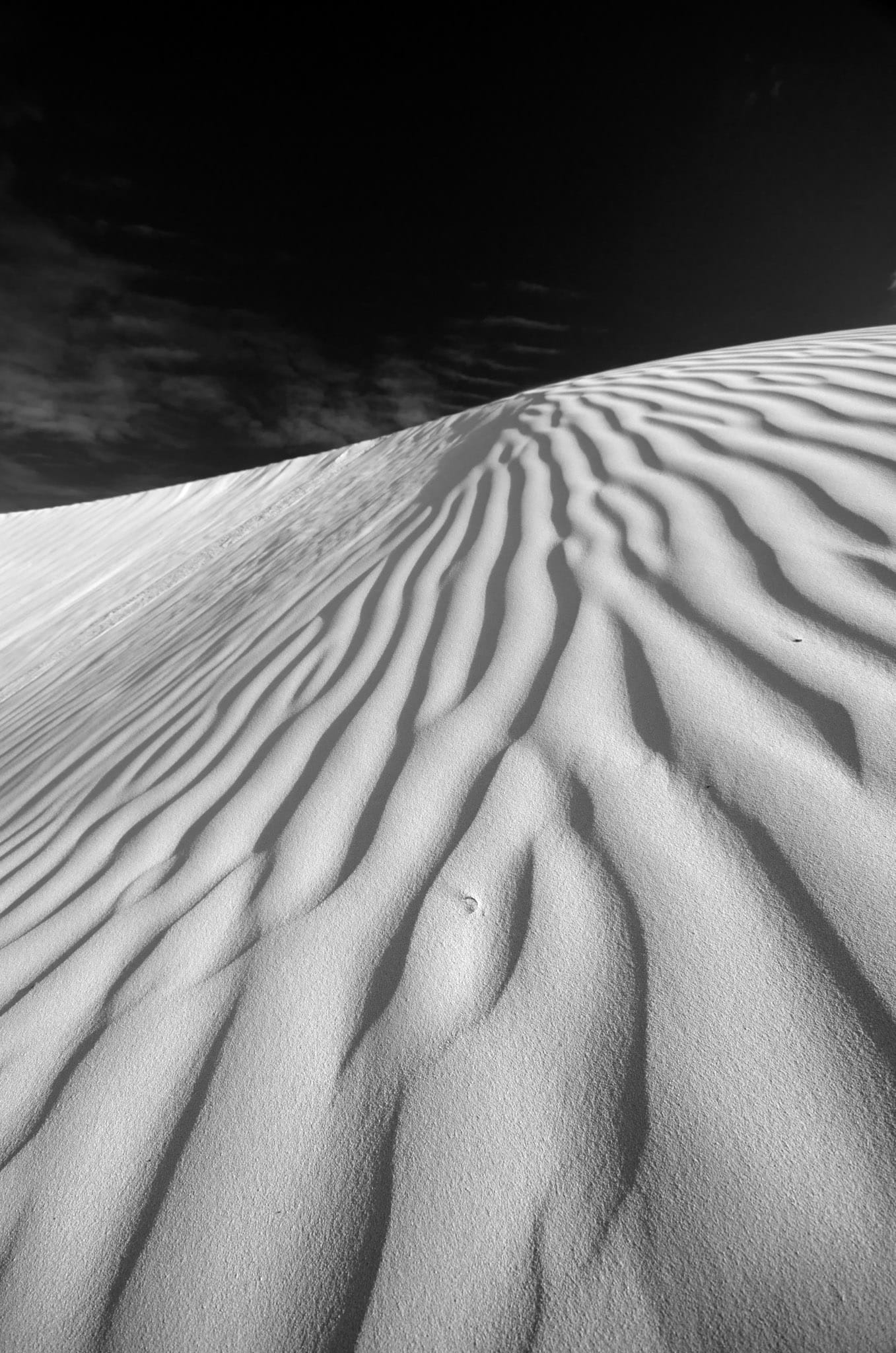 Dunes - Stephen Foote