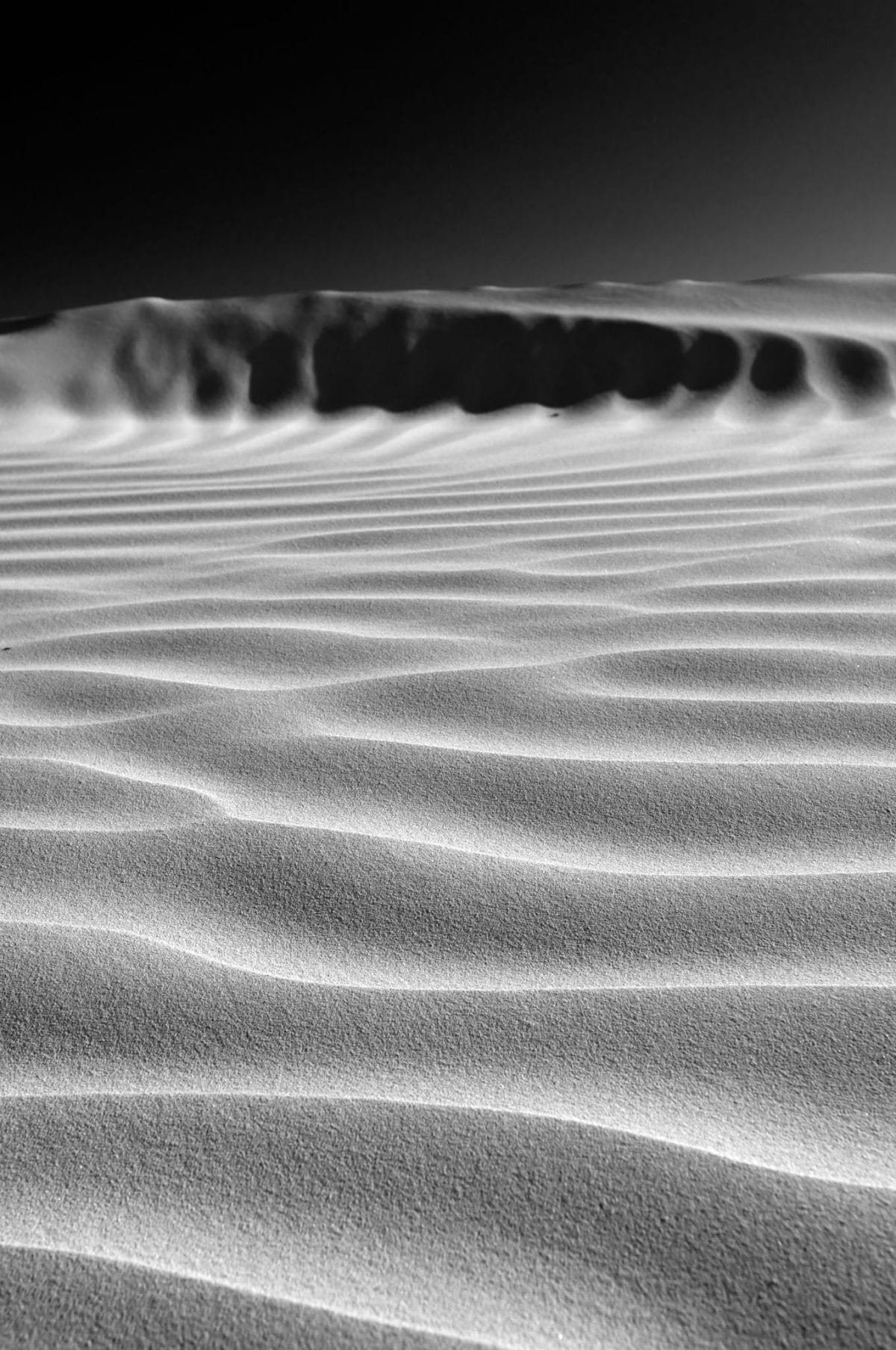 Dunes - Stephen Foote