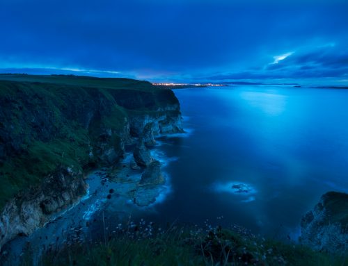 Fine Art Colour - Stephen Foote